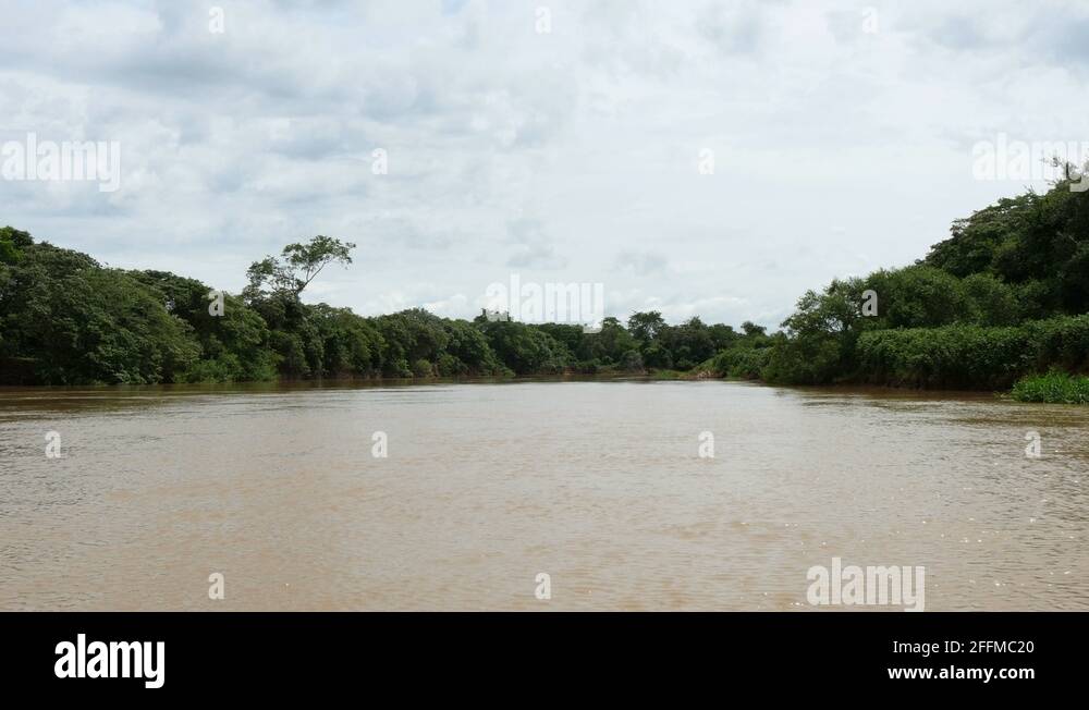 Cuiaba river Stock Videos & Footage - HD and 4K Video Clips - Alamy