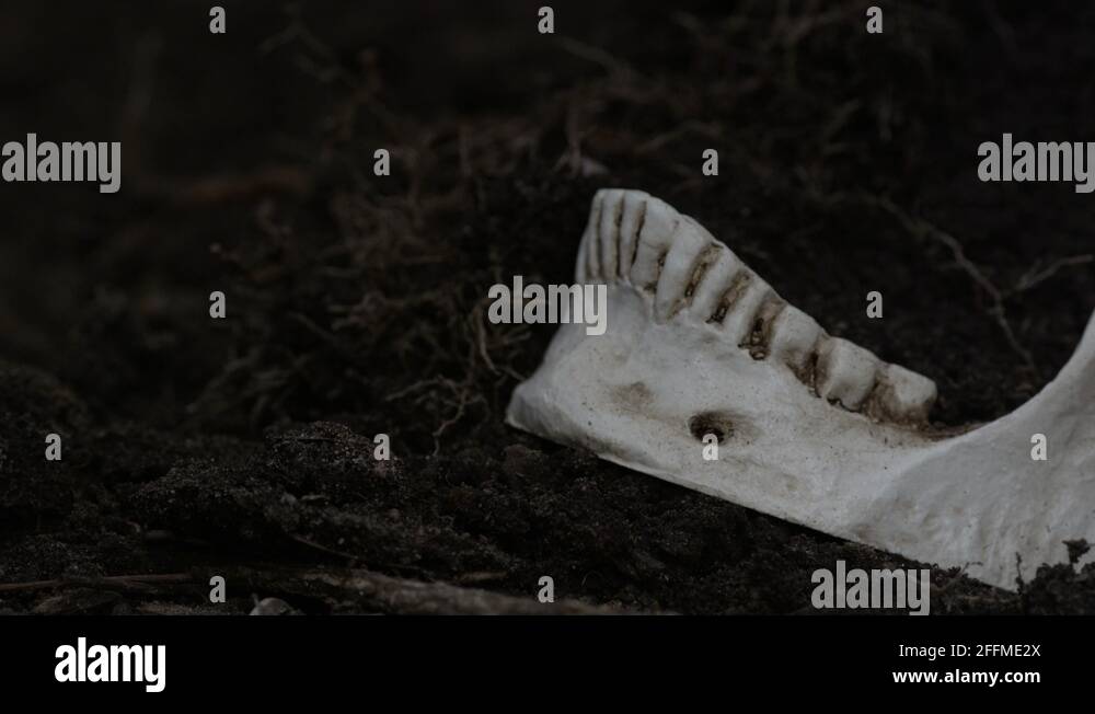 Remains of human bodies dead bodies Stock Videos & Footage - HD and 4K ...