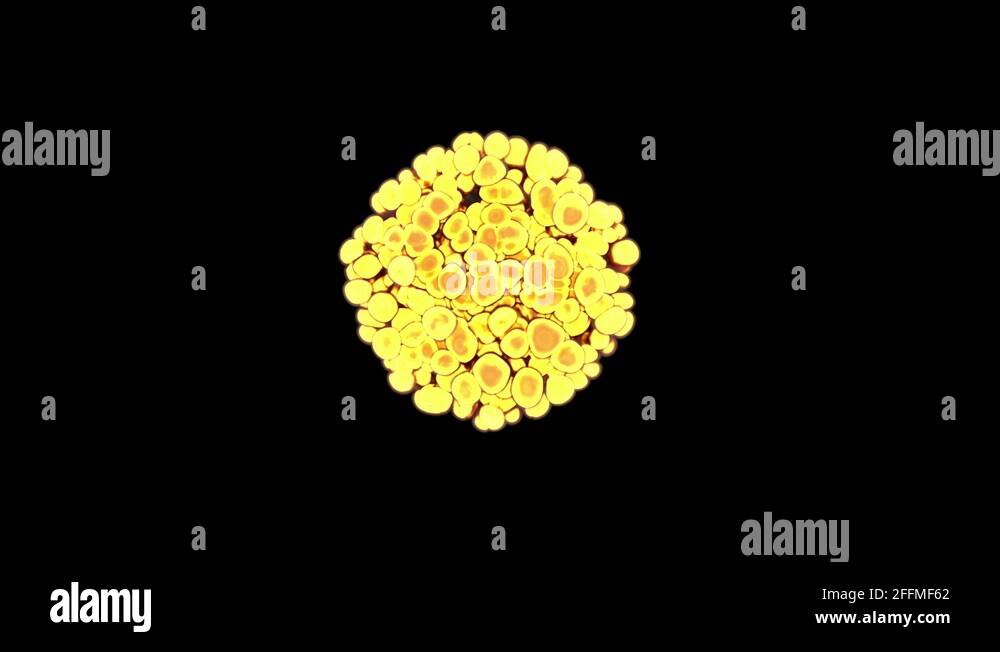 Lethal weapon 4 Stock Videos & Footage - HD and 4K Video Clips - Alamy