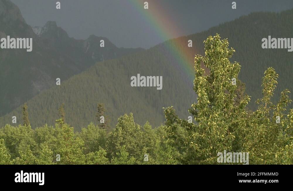 Rainbow with trees Stock Videos & Footage - HD and 4K Video Clips - Alamy