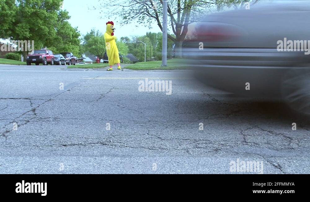 Chicken crossing Stock Videos & Footage - HD and 4K Video Clips - Alamy