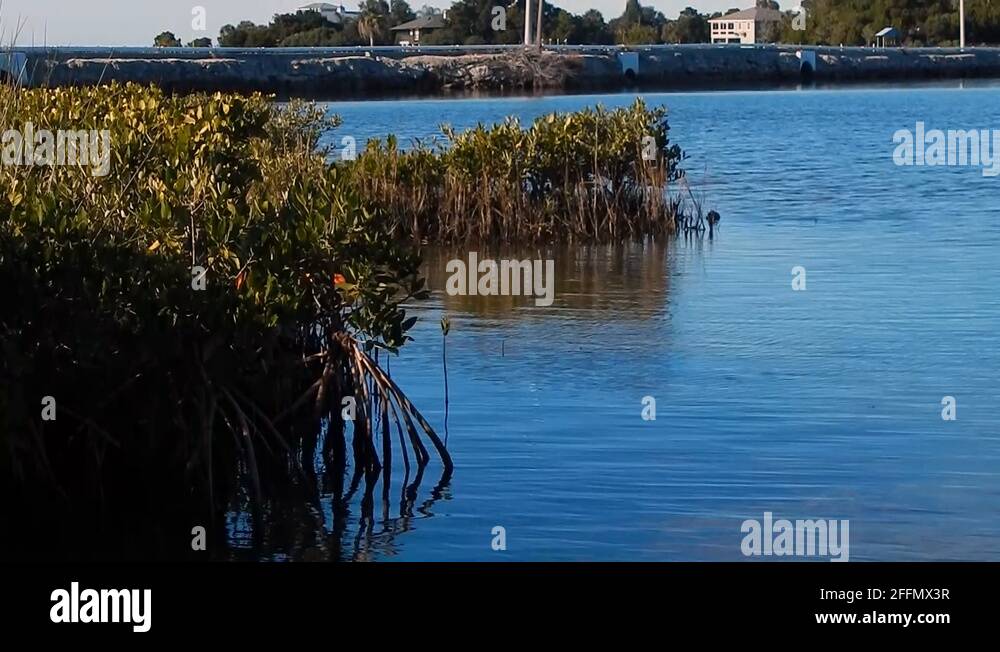 Ocean shoreline view Stock Videos & Footage - HD and 4K Video Clips - Alamy