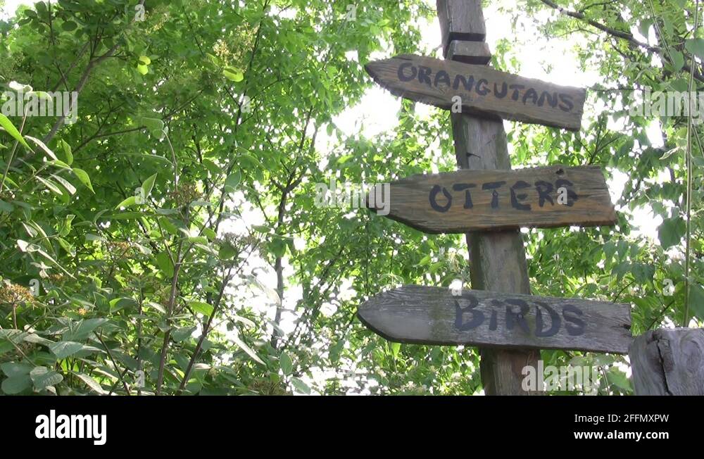 Zoo sign and map Stock Videos & Footage - HD and 4K Video Clips - Alamy