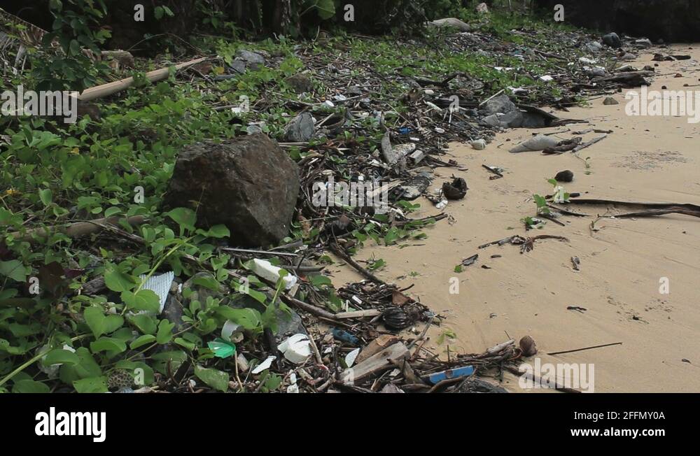 Carbage Stock Videos & Footage - HD and 4K Video Clips - Alamy