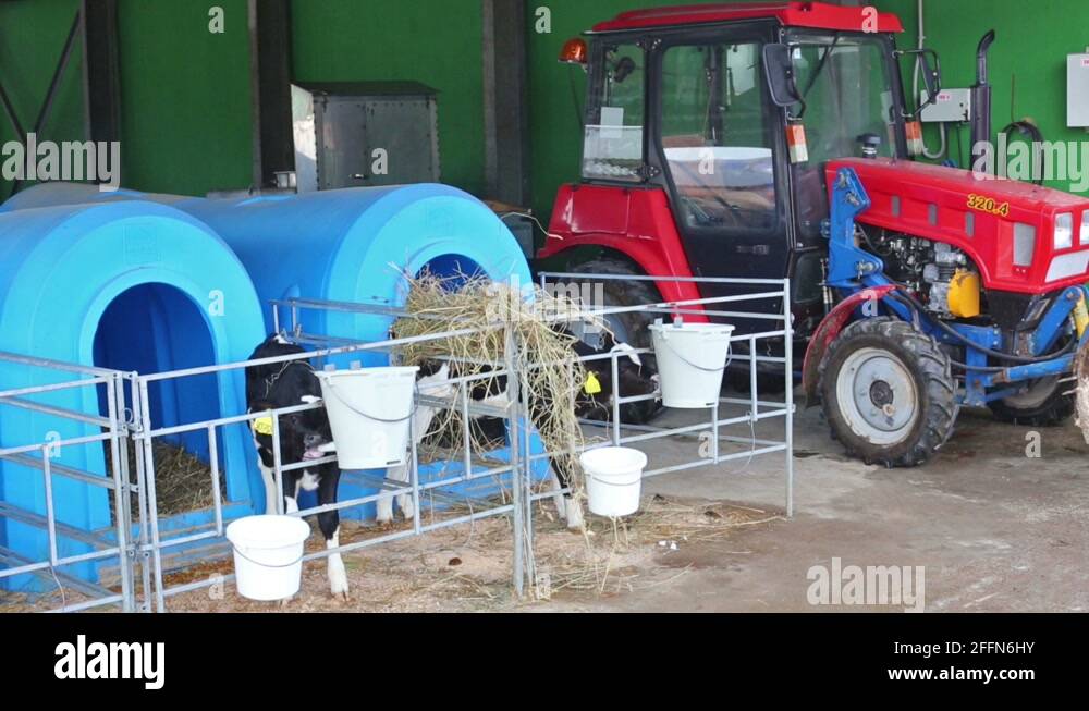 Drinking water stall Stock Videos & Footage - HD and 4K Video Clips - Alamy