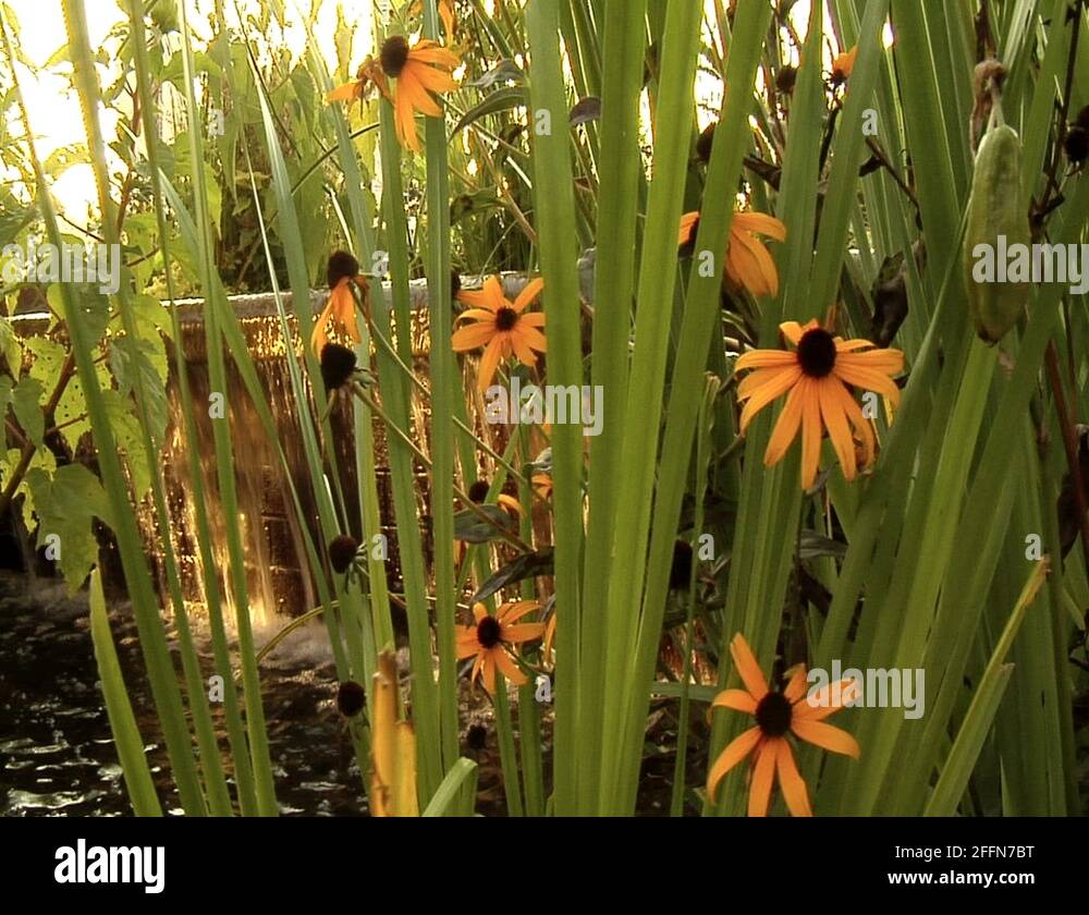 Susan sun Stock Videos & Footage - HD and 4K Video Clips - Alamy