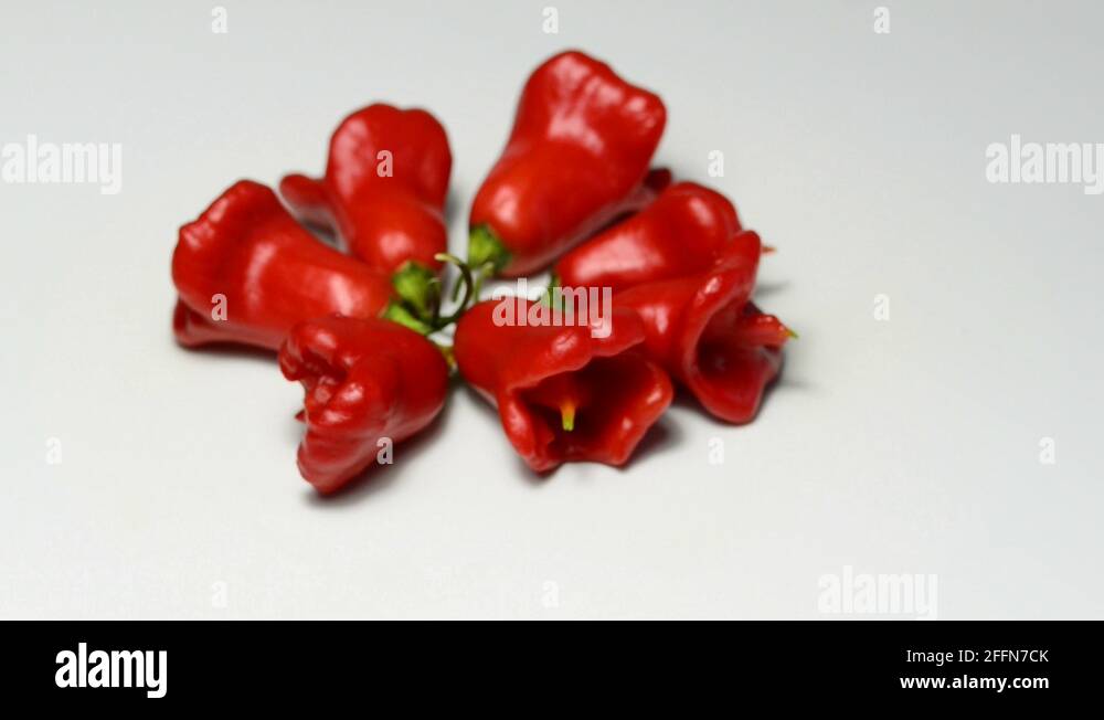 Bishops table Stock Videos & Footage - HD and 4K Video Clips - Alamy