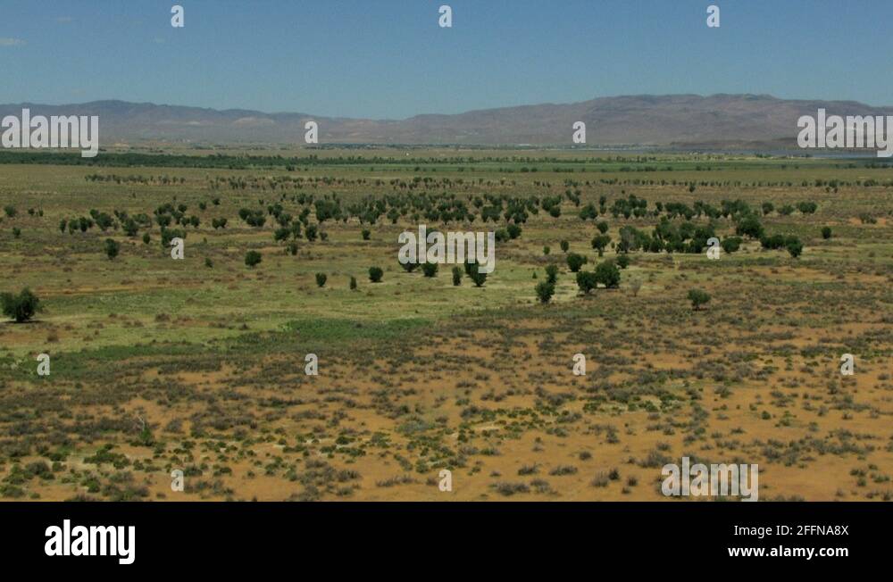 Scrubland ecosystem Stock Videos & Footage - HD and 4K Video Clips - Alamy