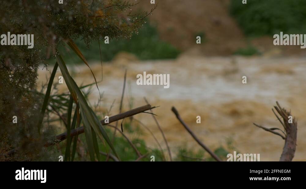 Flood nature Stock Videos & Footage - HD and 4K Video Clips - Alamy
