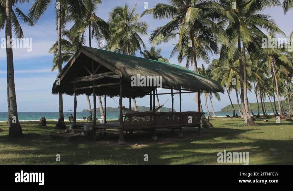 Palm hut on beach Stock Videos & Footage - HD and 4K Video Clips - Alamy