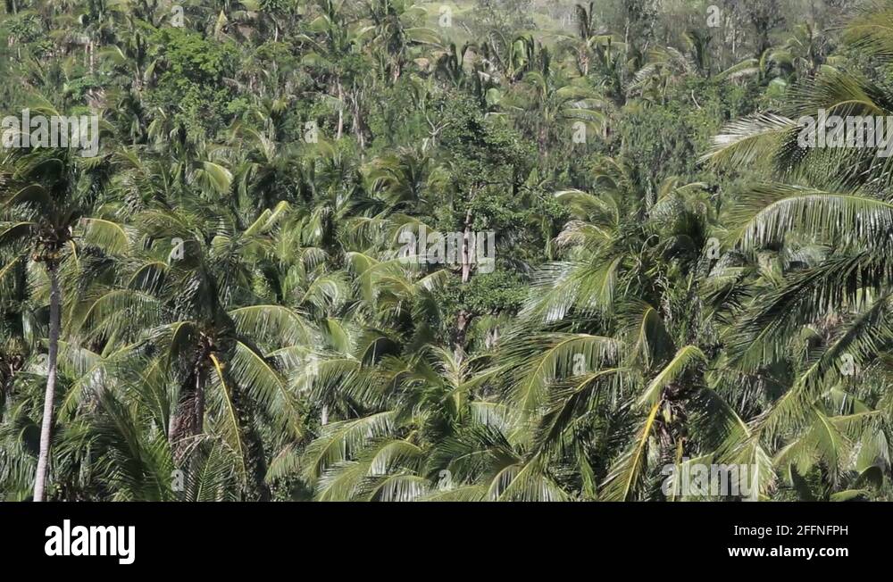 Volcano Mount Mayon, Legazpi, Philippines Stock Video Footage - Alamy