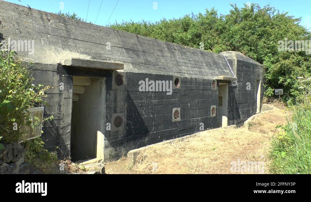 German historian Stock Videos & Footage - HD and 4K Video Clips - Alamy