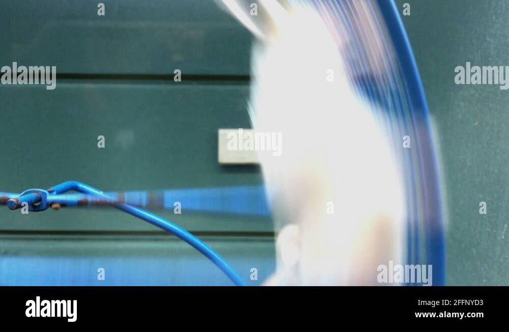 Playful mice Stock Videos & Footage - HD and 4K Video Clips - Alamy