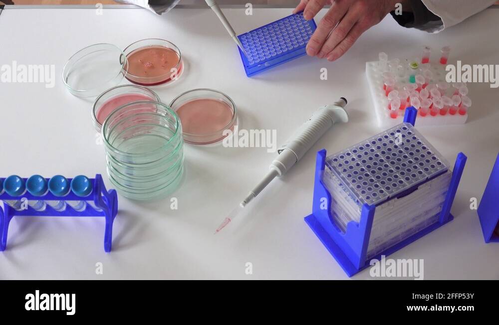 Genetics laboratory Stock Videos & Footage - HD and 4K Video Clips - Alamy