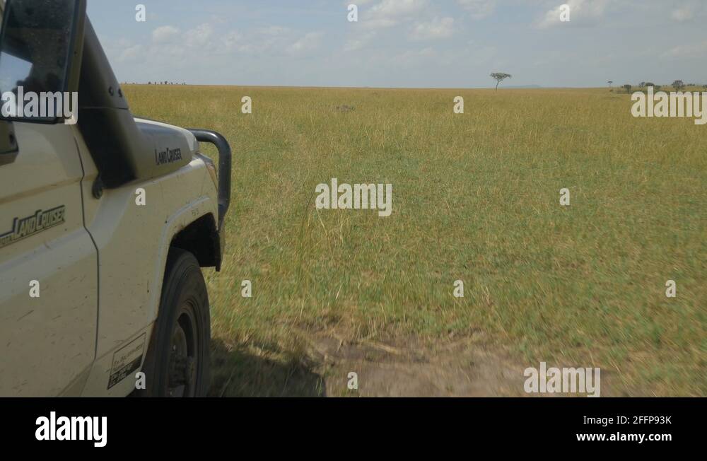 African jeep safari Stock Videos & Footage - HD and 4K Video Clips - Alamy