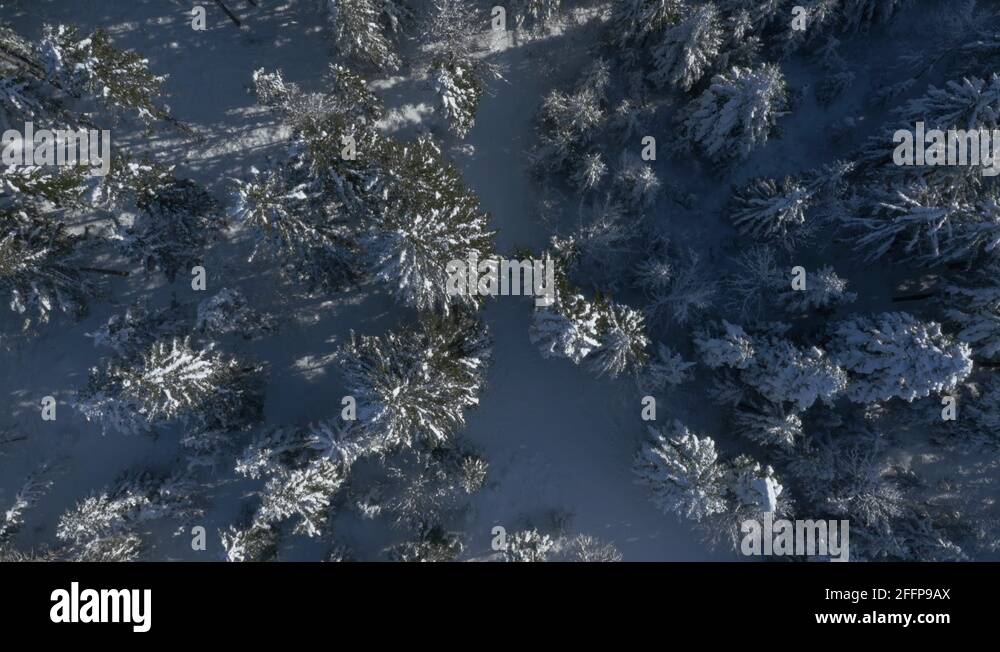 Vertical snow Stock Videos & Footage - HD and 4K Video Clips - Alamy