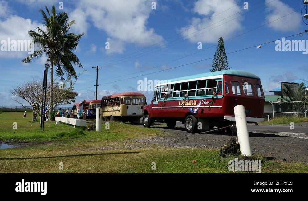 Funny buses Stock Videos & Footage - HD and 4K Video Clips - Alamy
