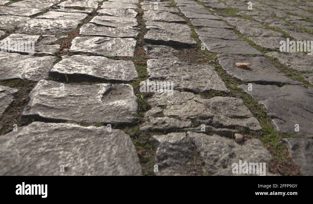 Pedestrian pattern Stock Videos & Footage - HD and 4K Video Clips - Alamy