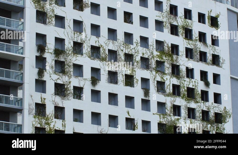 Building and vines Stock Videos & Footage - HD and 4K Video Clips - Alamy