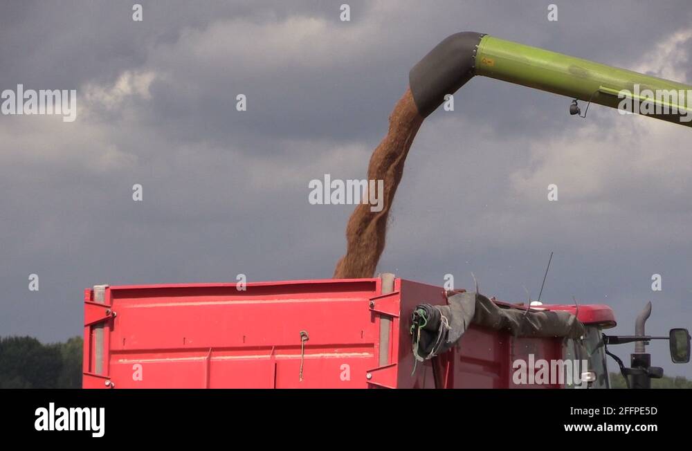 Combine harvester unloads grain on trailer Stock Videos & Footage - HD ...