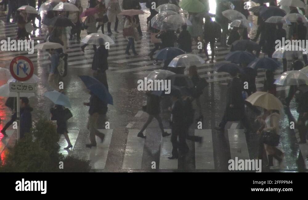 Tokyo night rain drop Stock Videos & Footage - HD and 4K Video Clips ...