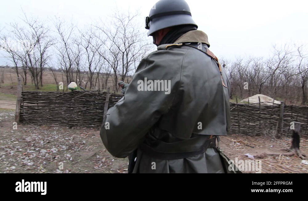 Brave chicken Stock Videos & Footage - HD and 4K Video Clips - Alamy