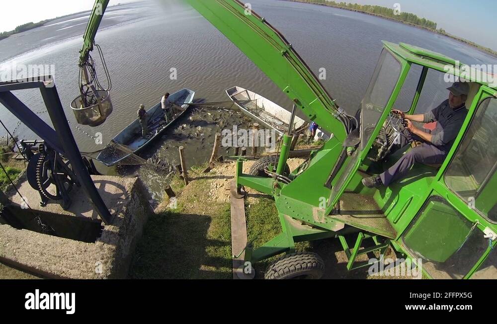 Fish farming Stock Videos & Footage - HD and 4K Video Clips - Alamy