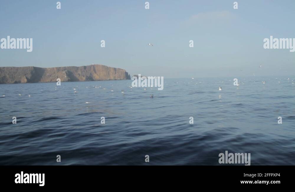 Channel islands national park Stock Videos & Footage - HD and 4K Video ...
