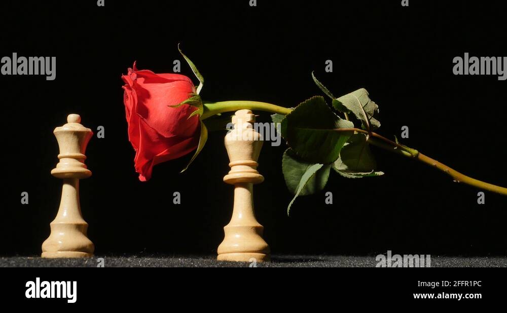 3100 King Giving Queen a Red Rose Chess Pieces, 4K Stock Video Footage ...