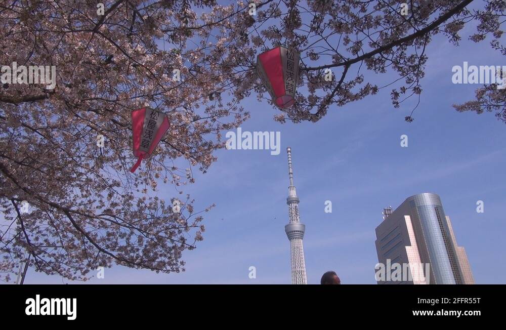 Tokyo skytree tall tower Stock Videos & Footage - HD and 4K Video Clips ...