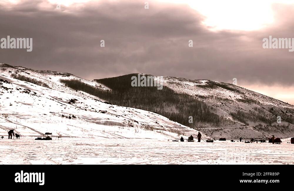 Aspen scale Stock Videos & Footage - HD and 4K Video Clips - Alamy