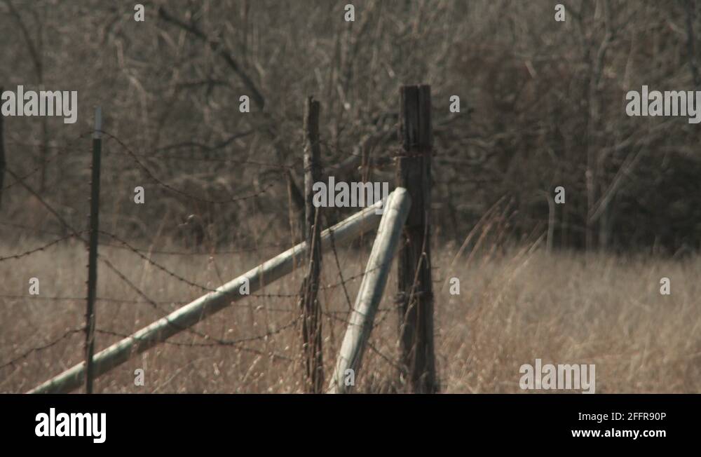 Steel post barbed wire Stock Videos & Footage - HD and 4K Video Clips ...