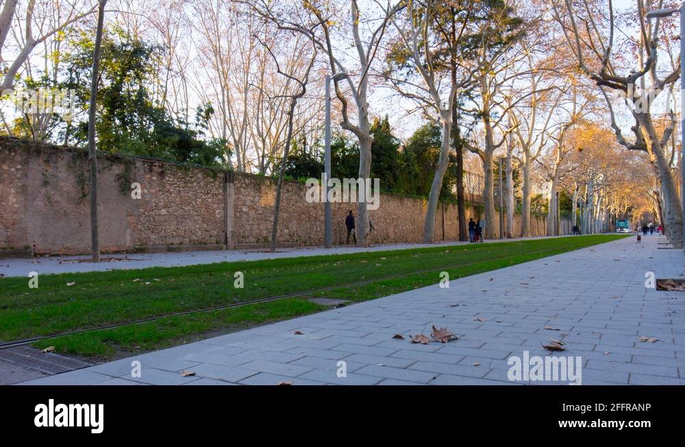 Line tram traffic light Stock Videos & Footage - HD and 4K Video Clips ...