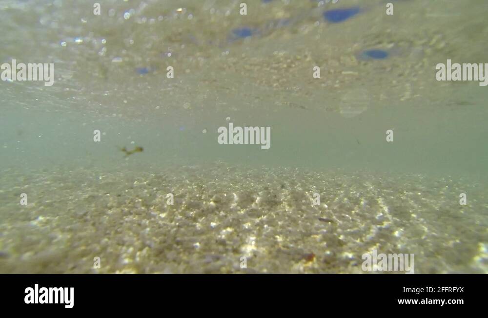 Underwater sea view from below Stock Videos & Footage - HD and 4K Video ...