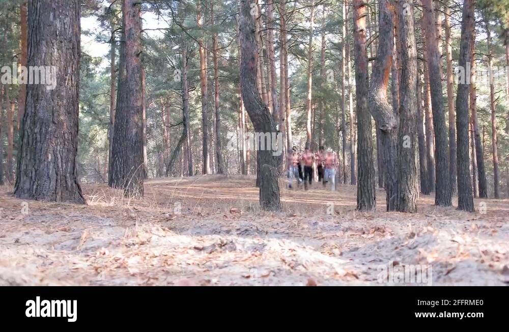 Group of shirtless men running around in the woods. Time lapse Stock ...