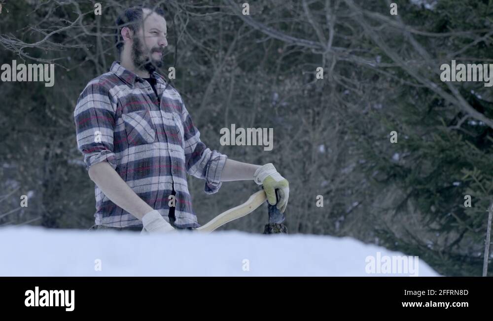 Taking down tree Stock Videos & Footage - HD and 4K Video Clips - Alamy