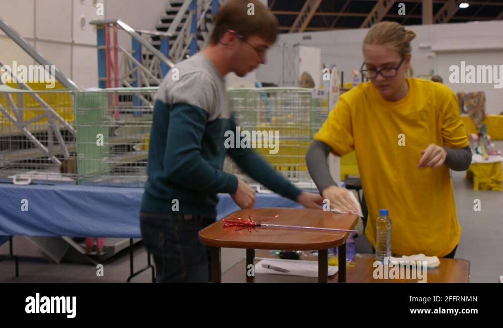 Animal show cats Stock Videos & Footage - HD and 4K Video Clips - Alamy