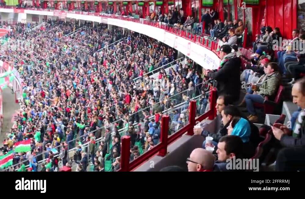 Stadium fans field Stock Videos & Footage - HD and 4K Video Clips - Alamy