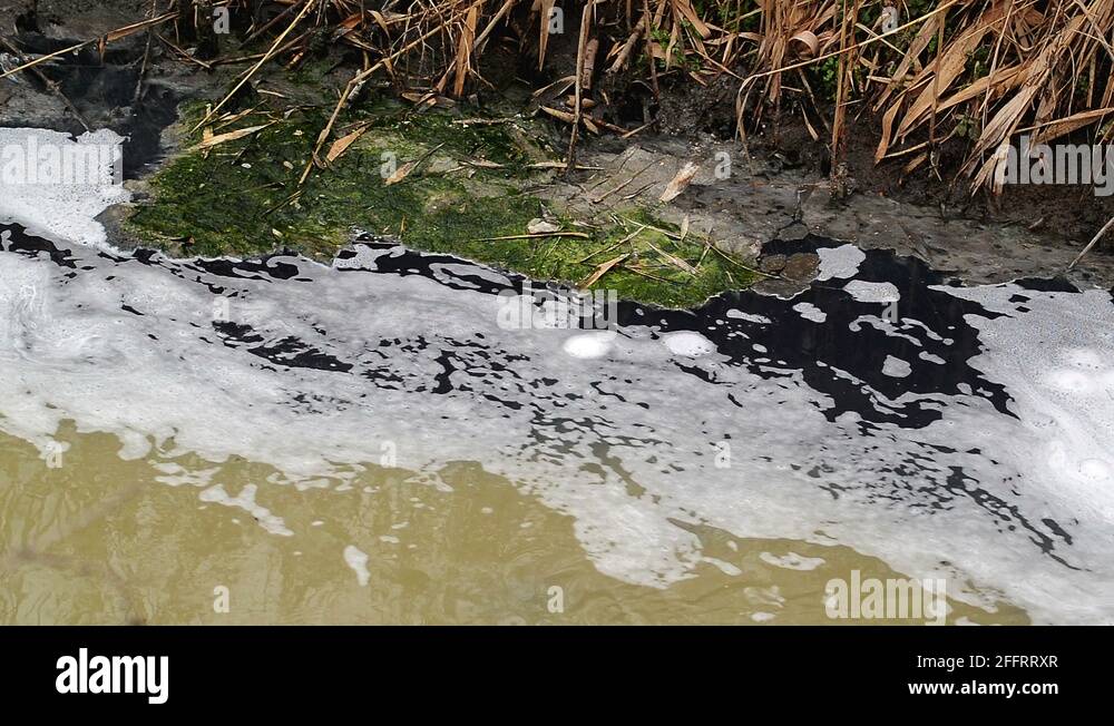 Chemical water pollution Stock Videos & Footage - HD and 4K Video Clips ...