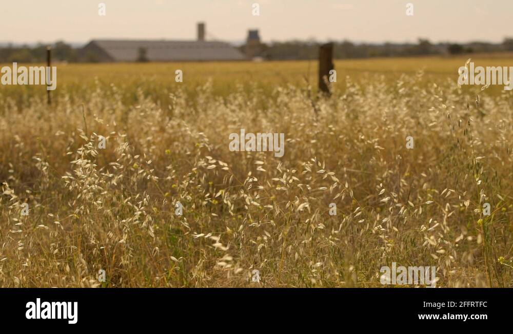 Outback plains Stock Videos & Footage - HD and 4K Video Clips - Alamy