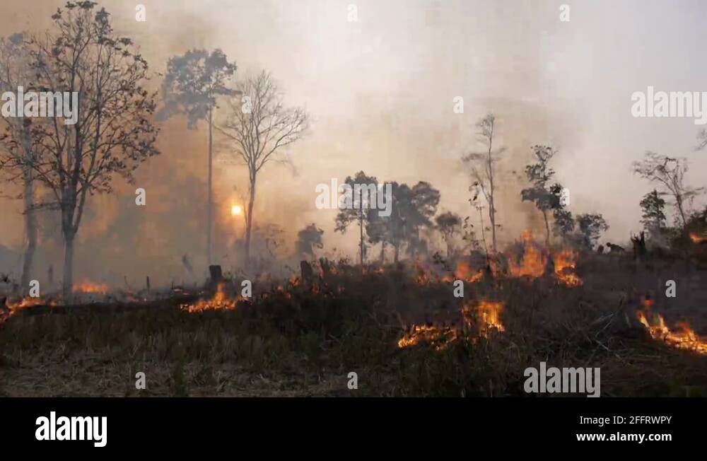 Laos land Stock Videos & Footage - HD and 4K Video Clips - Alamy