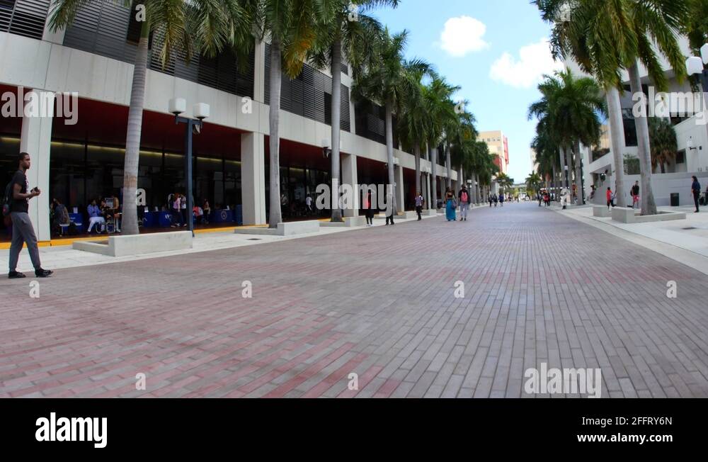 Miami dade community college Stock Videos & Footage - HD and 4K Video ...