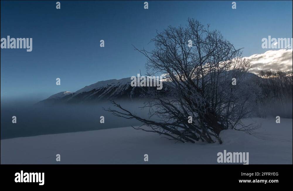 Congelation ice Stock Videos & Footage - HD and 4K Video Clips - Alamy