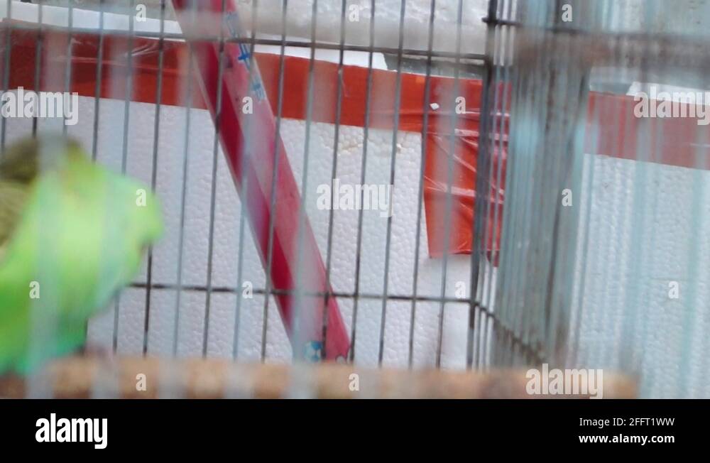 Shut up and play Stock Videos & Footage - HD and 4K Video Clips - Alamy