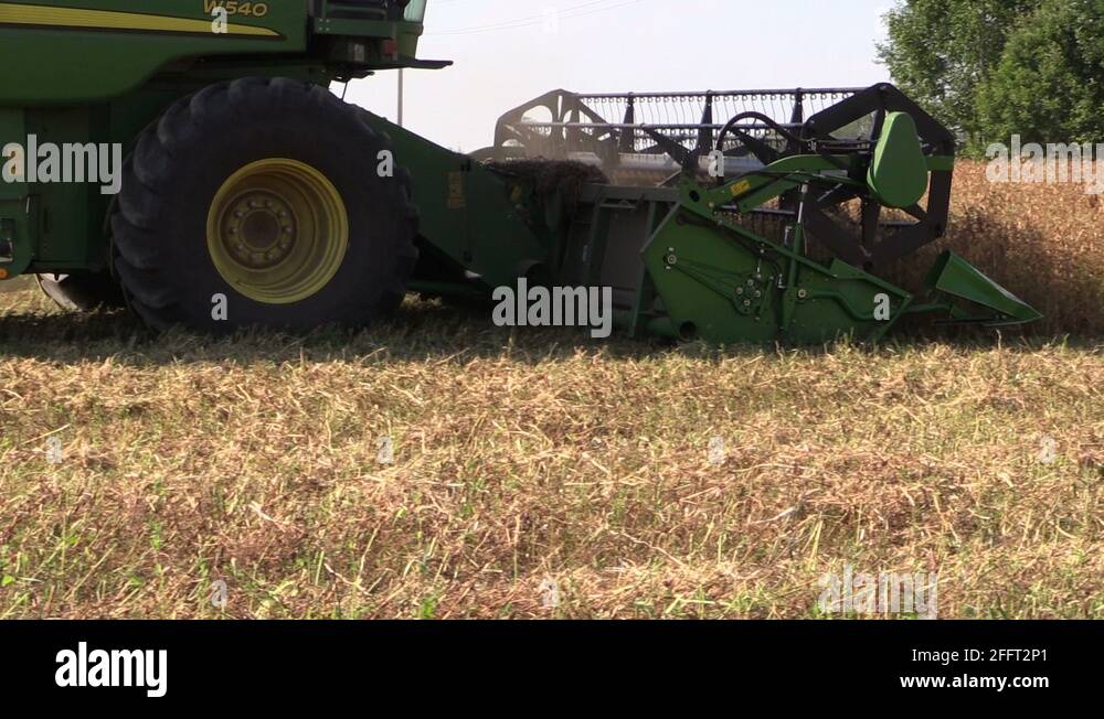 Dry field pea Stock Videos & Footage - HD and 4K Video Clips - Alamy