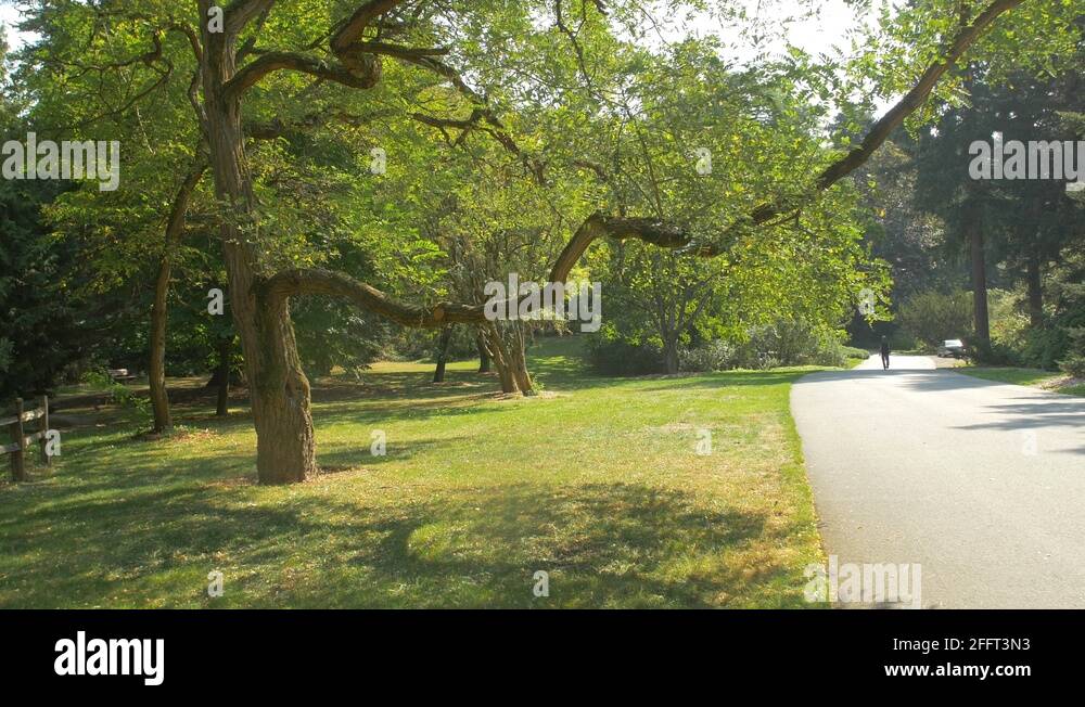 Seattle arboretum Stock Videos & Footage - HD and 4K Video Clips - Alamy