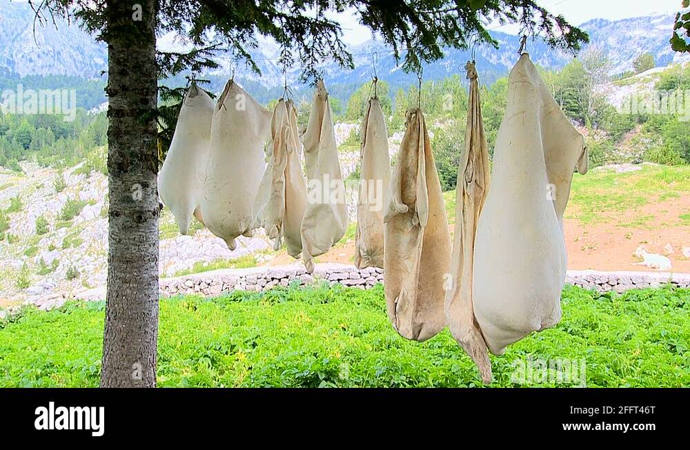 Skin sack Stock Videos & Footage - HD and 4K Video Clips - Alamy