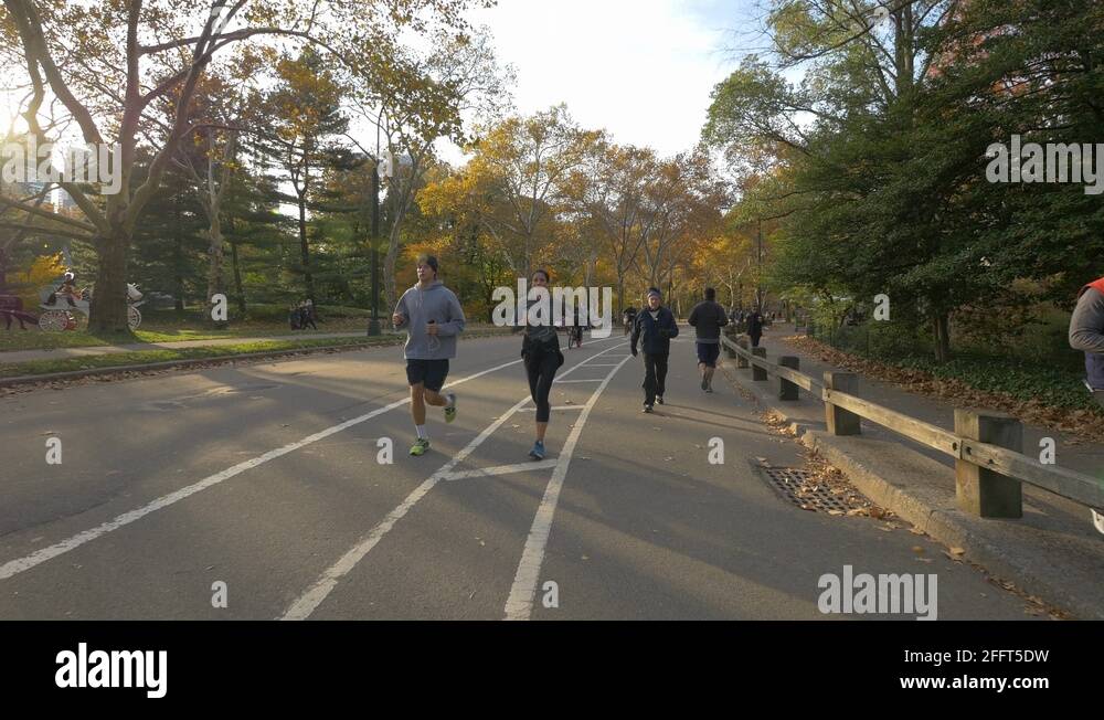 Running in central park Stock Videos & Footage - HD and 4K Video Clips ...