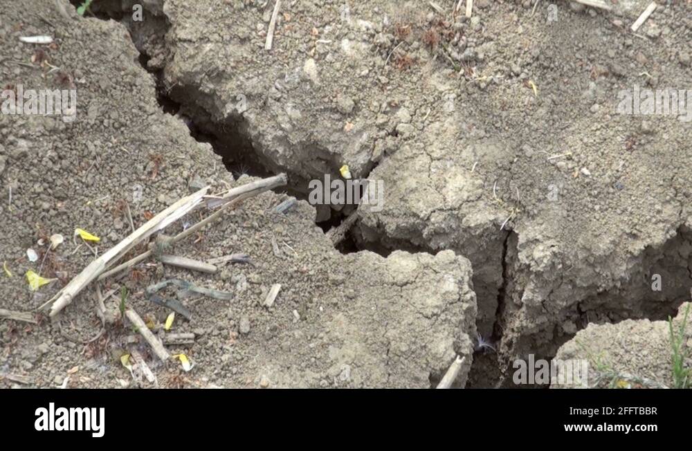 Of drought Stock Videos & Footage - HD and 4K Video Clips - Alamy