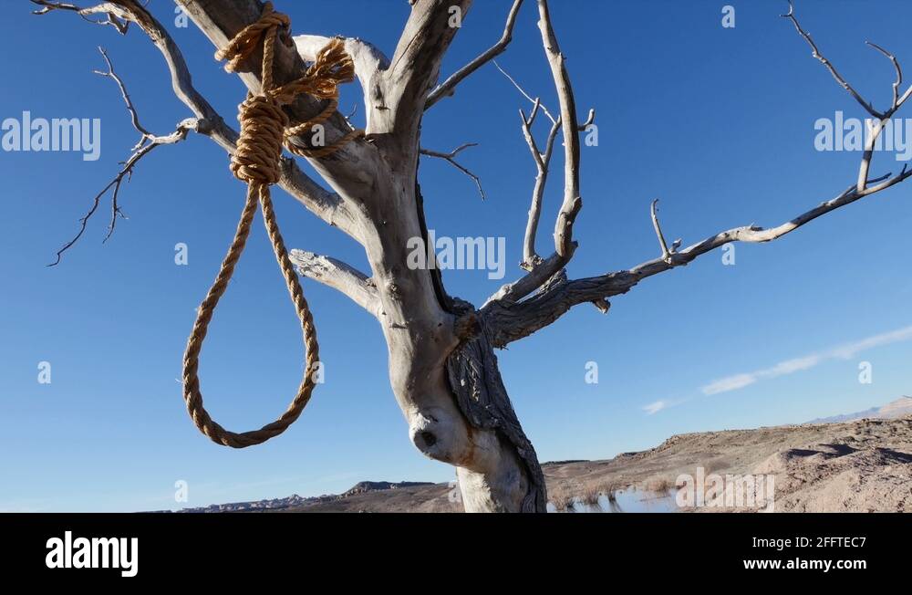 Noose on Hanging Tree in Wild West Badlands Stock Video Footage - Alamy